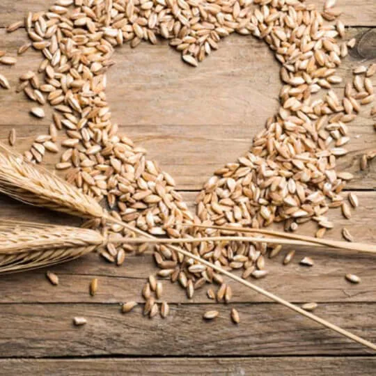 Herta simplification - Ingrédients | Herta