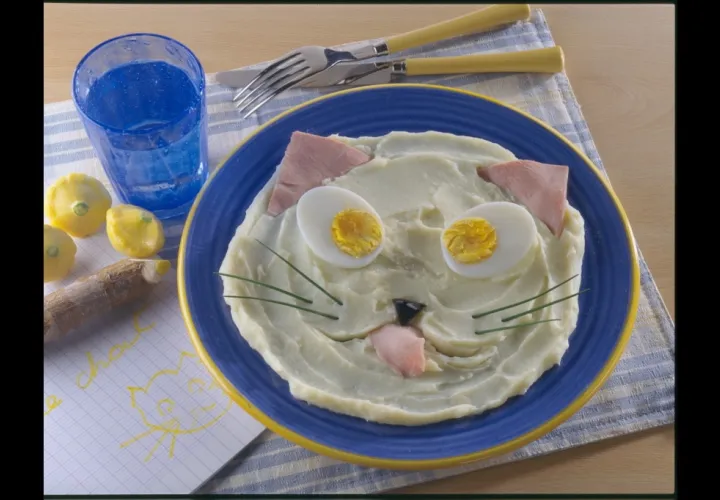 Recette Le chat en purée | Herta